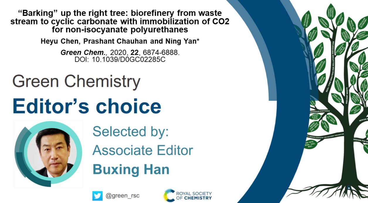 Article Chosen as Green Chemistry Editor’s Choice | Yan Lab