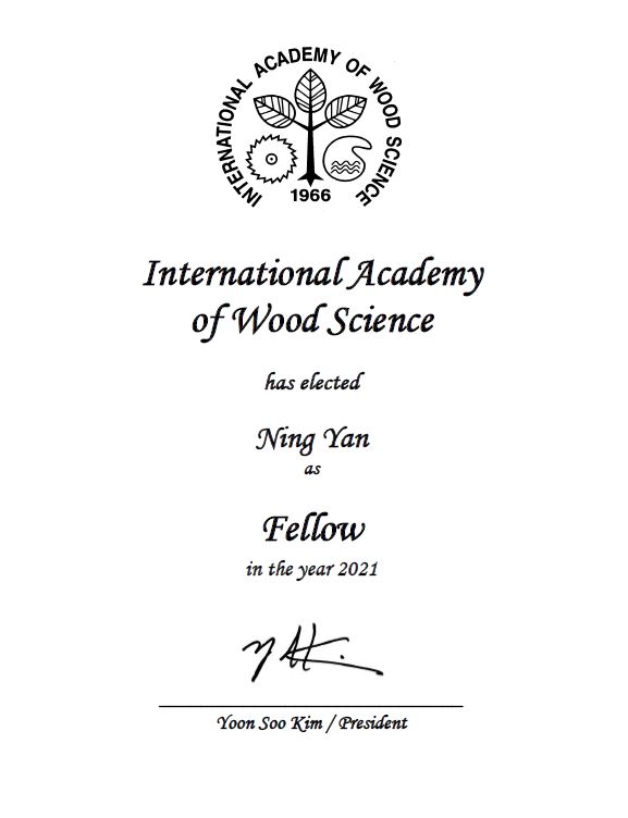 Professor Ning Yan has been elected to be a Fellow in the International ...