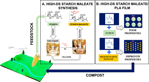 New Article: Recent Progress on Starch Maleate/Polylactic Acid Blends ...