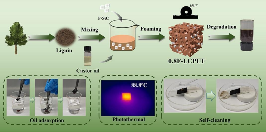 New Article: Superhydrophobic polyurethane foam based on castor oil and ...