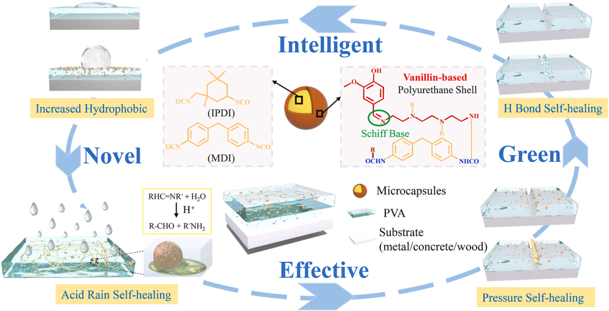 New Article: Bio-based pH-responsive microcapsules derived from Schiff ...