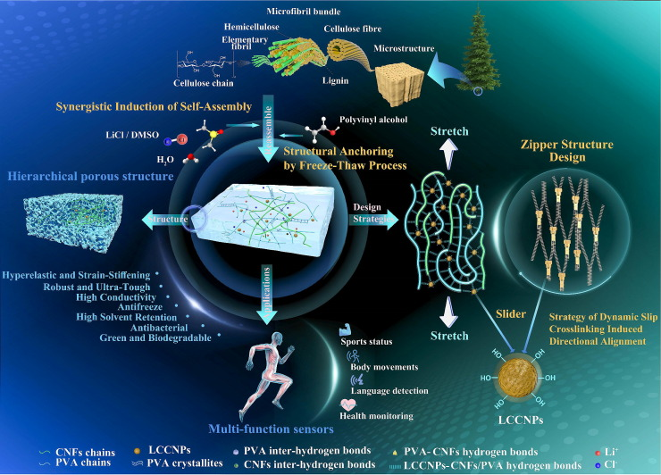 New Article: Robust and ultra-tough lignocellulosic organogel with ...