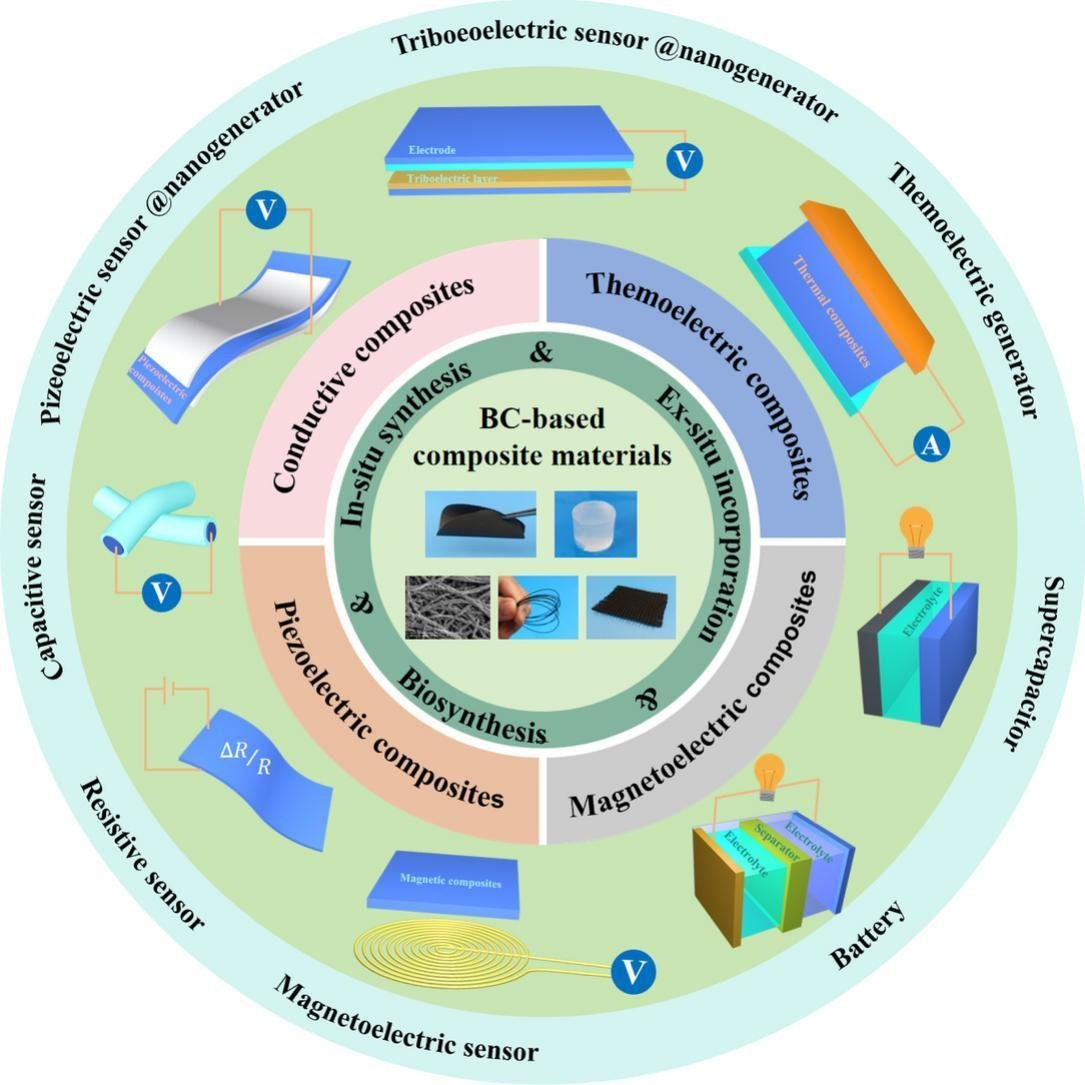 New Article: Bacterial cellulose as green matrix material for ...